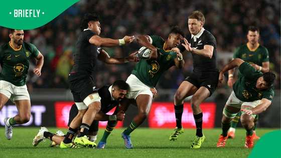 All Blacks Hold Firm as Springboks Fight Back at Eden Park - Briefly.co.za