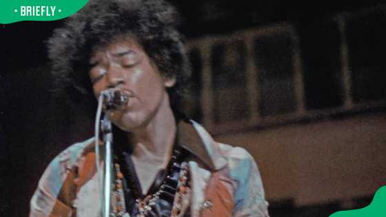 Meet James Daniel Sundquist: what does Jimi Hendrix's son do? - Briefly ...