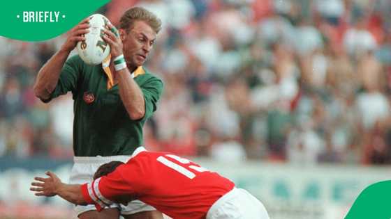 1995 Rugby World Cup: How the Springboks’ Victory United South Africa ...
