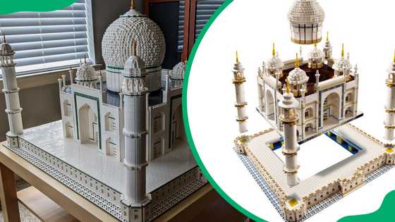 The 31 LEGO sets with the most pieces ever made: Top sets - Briefly.co.za