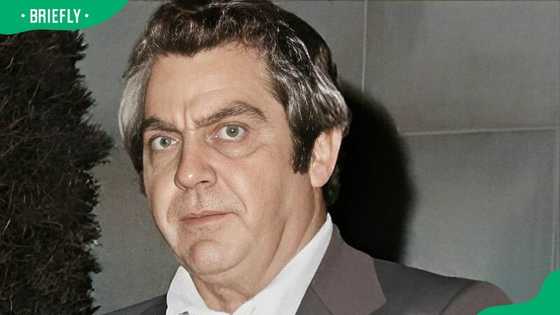 What happened to Jimmy Conway? The untold story of his death - Briefly ...