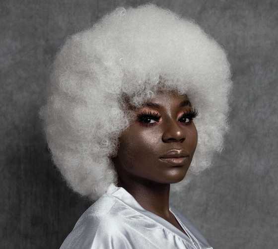 30+ stunning white dye on short African hairstyles - Briefly.co.za