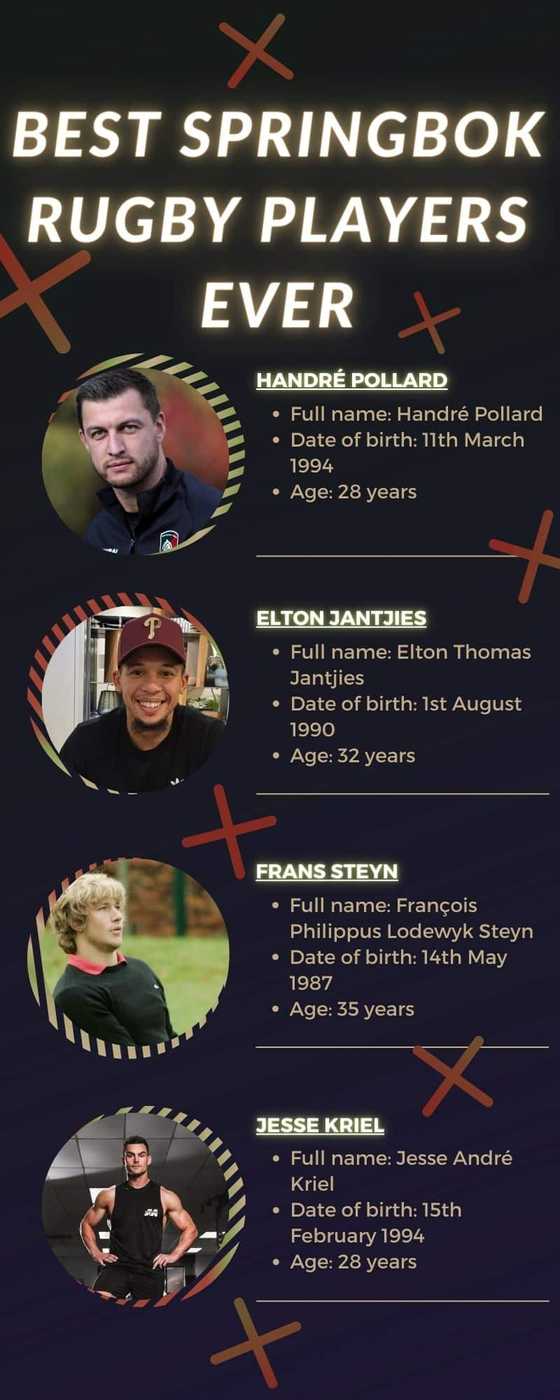 20 best Springbok rugby players ever: where are they today? - Briefly.co.za