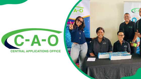 CAO online application process, dates, and requirements - Briefly.co.za