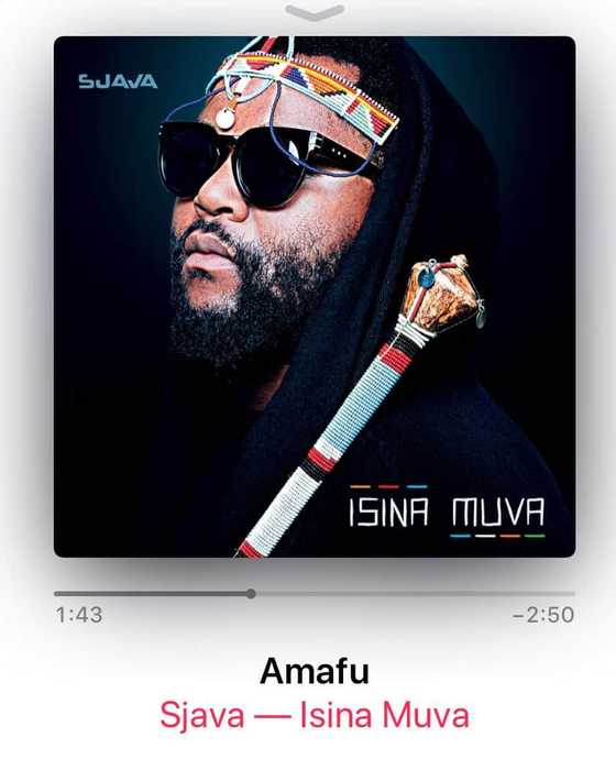 Sjava biography: age, real name, songs, albums and profile - Briefly.co.za