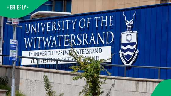 Returning Wits University Students Embark on a Hunger Strike Over ...