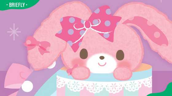 All Sanrio characters explained: from Hello Kitty to lesser-known ...