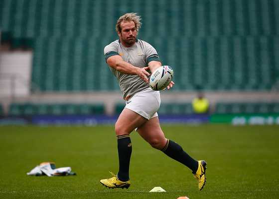Who is Jannie du Plessis? Age, children, wife, brother, height ...