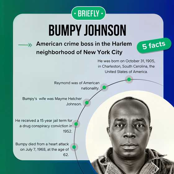 Bumpy Johnson: the man, the myth, and the legacy he left behind ...