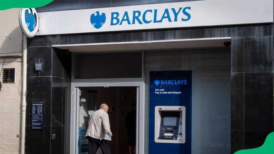 Who is Jason Quinn, Nedbank's new CEO? Everything to know - Briefly.co.za