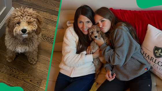 Meet Sydney Raniszeski: 11 facts about the YouTube sensation - Briefly ...