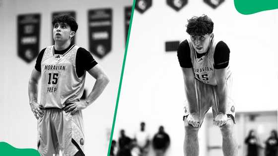 Eli Ellis Age Height Basketball Stats Team Salary Net Worth