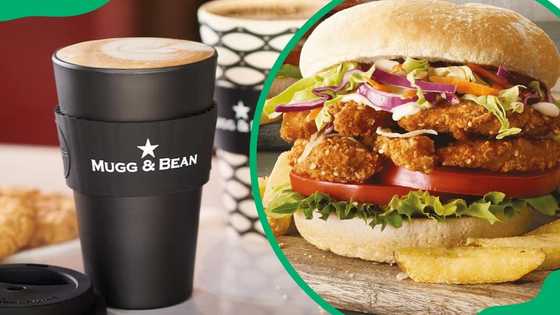 Mugg & Bean menu and prices in South Africa (2024) - Briefly.co.za