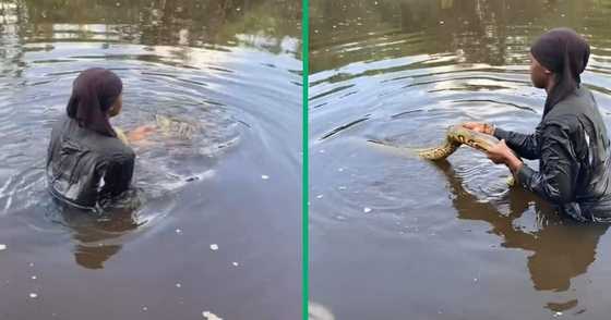 Woman Pets Python Swimming in River, TikTok Video Leaves SA Horrified ...