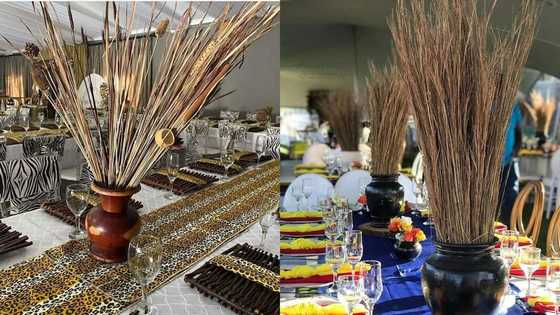 20+ Tswana and Sotho traditional wedding décor 2022: Classy Umembeso ...