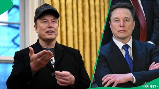 Inside Billionaire Elon Musk’s Family Tree: Meet His 14 Children and ...