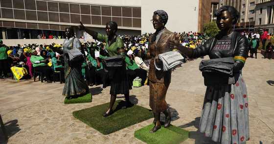South African Women Politicians And the Significant Roles They Played ...