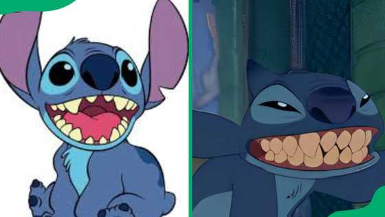 20 ugly Disney characters that are surprisingly lovable - Briefly.co.za