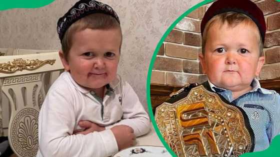 Hasbulla's net worth: A peek at Mini Khabib's fortune - Briefly.co.za