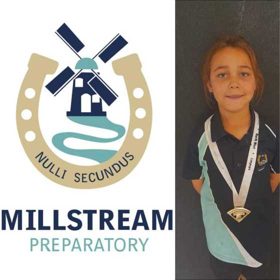 List of schools in Hartbeespoort and their contact details (2024) - Briefly.co.za