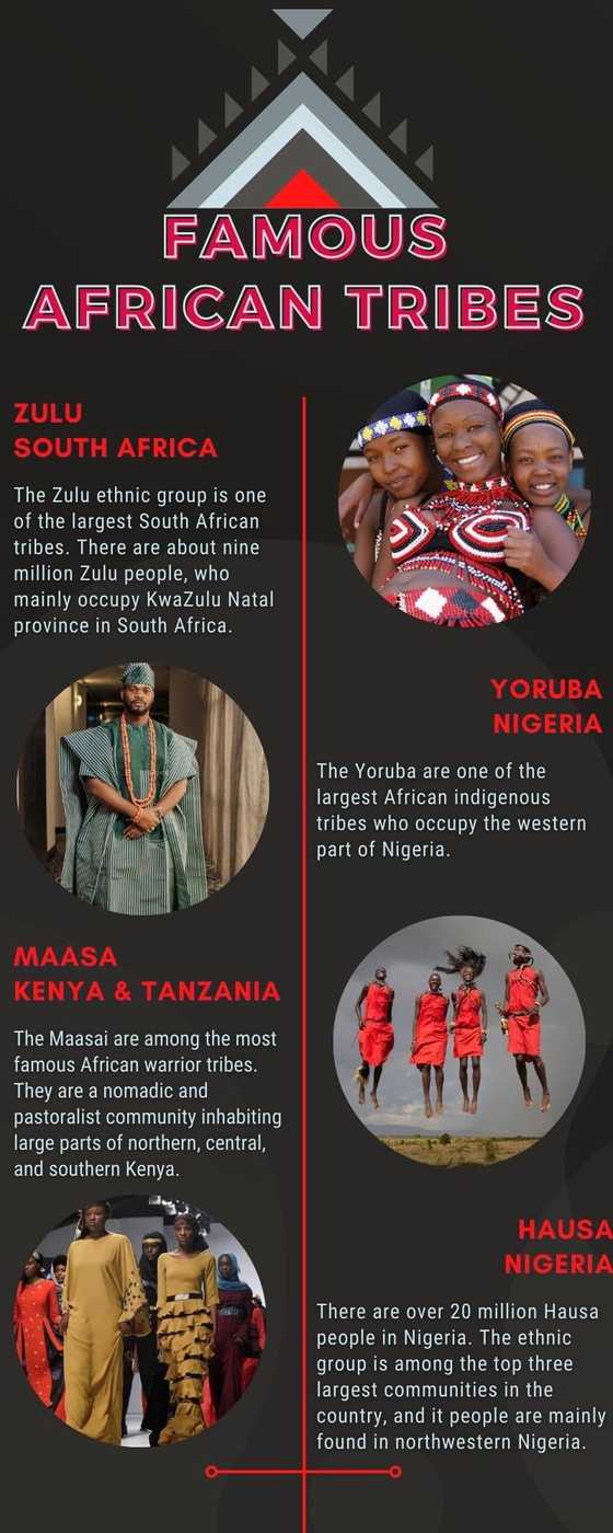 12 Famous African tribes: culture, rituals, map and traditions ...