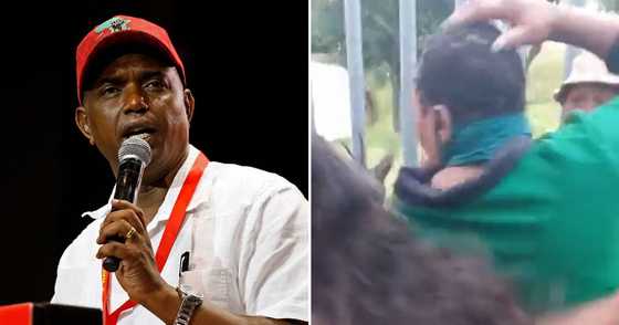 EFF’s Godrich Gardee Weighs In on ANC Member Getting Wig Snatched ...