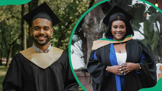 TUT courses available for 2024-2025: complete list with faculties ...