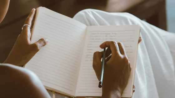 How to write a diary entry: A simple guide for beginners - Briefly.co.za