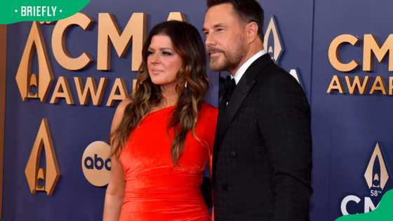 Meet the Little Big Town members: Names, roles, and fun facts about the ...