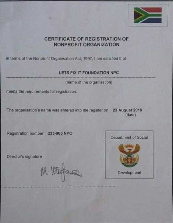 How to register an NGO in South Africa in 2022? Infographic - Briefly.co.za