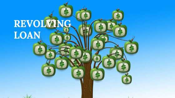 Everything you need to know about a Revolving Loan - Briefly.co.za