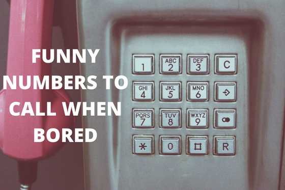 10 funny phone numbers to call when you have nothing else to do ...