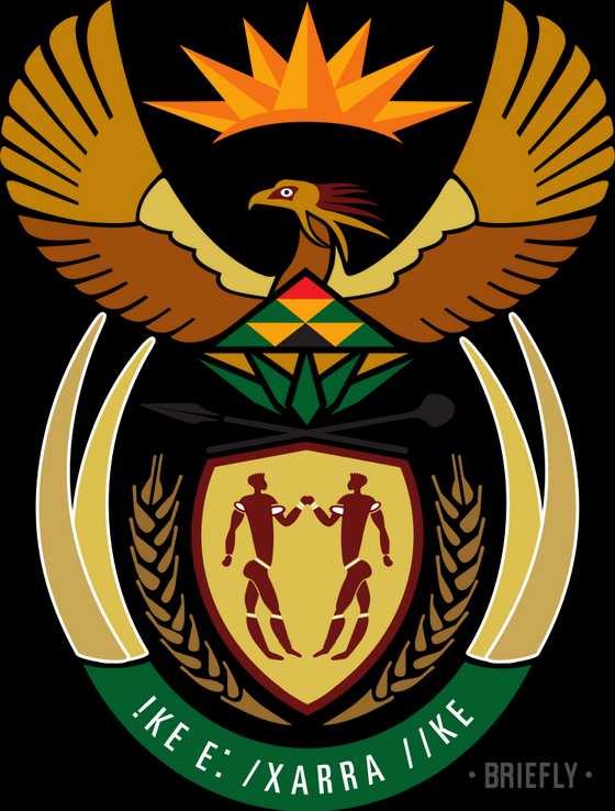 South African coat of arms explained in simple terms - Briefly.co.za