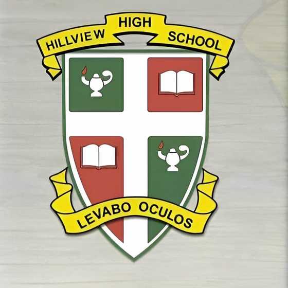 15 leading high schools in Gauteng: What is the biggest school ...