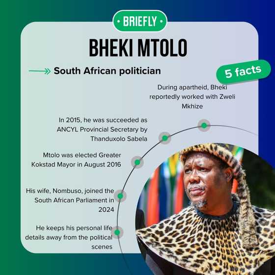 Who is Bheki Mtolo? From Kokstad mayor to ANC leadership - Briefly.co.za