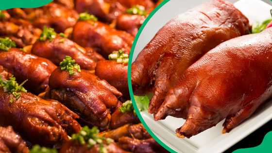 Pork trotters: A delicious recipe to cook them in 5 easy steps ...