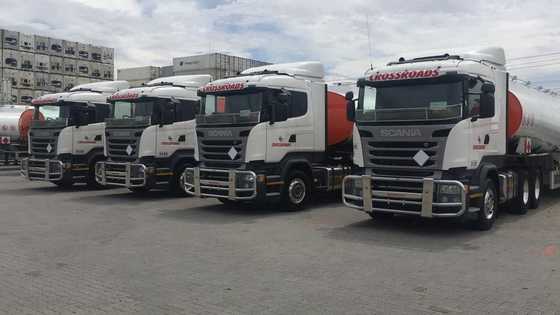 Top 20 best logistics companies in South Africa in 2024 - Briefly.co.za