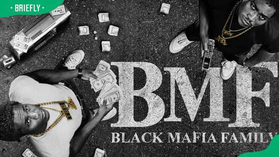 Is Lamar from BMF still alive? Here is everything to know - Briefly.co.za