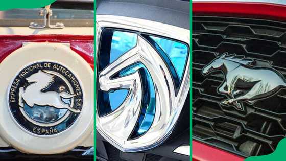 Top 11 cars with horse logos: the ultimate list for auto fans - Briefly ...