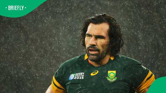 Victor Matfield Net Worth 2026: Springbok Legend’s Wealth, Businesses ...