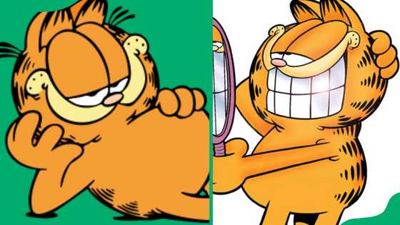 The 25 most famous fat cartoon characters of all time - Briefly.co.za