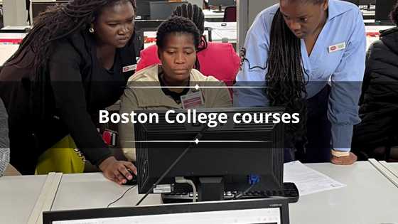 Boston College courses and fees in 2025: Get the full list - Briefly.co.za