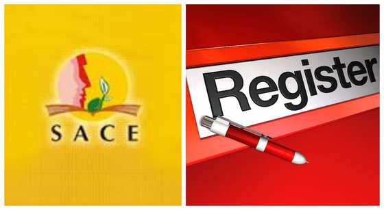 SACE online registration for 2022: Simple steps to go about the process ...