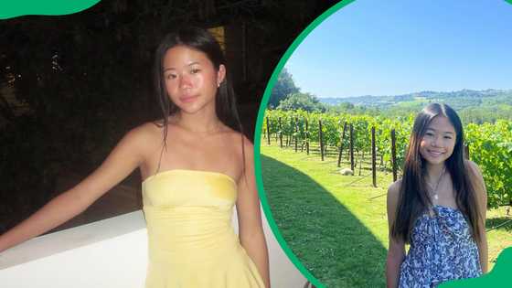 Emily Ha's age and personal life: a complete bio with fun facts ...