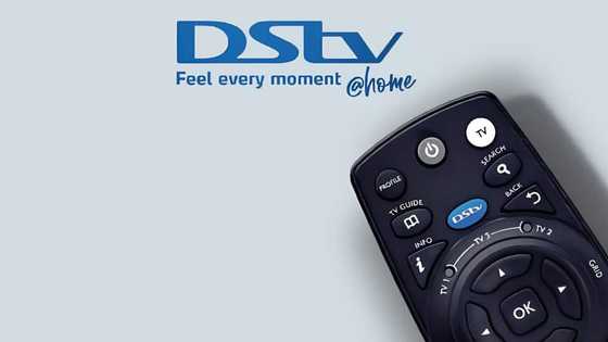 Get help at your fingertips: DStv's WhatsApp number, helpline, chat ...