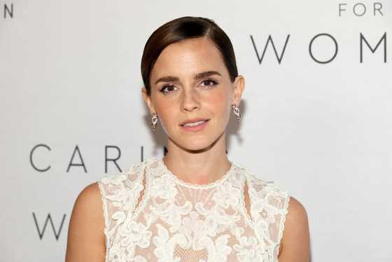 What happened to Leo Robinton? Everything about Emma Watson's ex ...