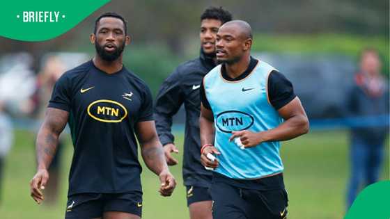 “It’s Just a Stiff Neck” : Springboks Reveal Siya Kolisi’s Injury Isn’t ...