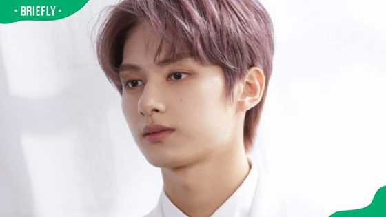 Seventeen members: age, names, positions, facts and more - Briefly.co.za