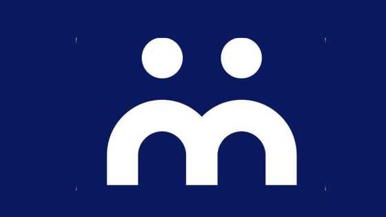 Moya App SASSA status check: download, application, payments - Briefly ...