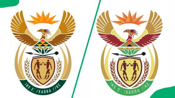 What are the national symbols of South Africa and what do they mean ...